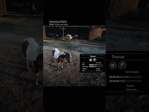 Steam Community :: Video :: RDR2 • All American Paint Horse Colors and ...
