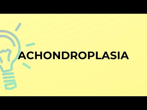What is the meaning of the word ACHONDROPLASIA?