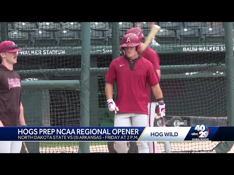 Diamond Hogs ready for NCAA Baseball Tournament