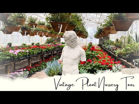 Vintage Nursery Tour - Christianson' Nursery and Greenhouse