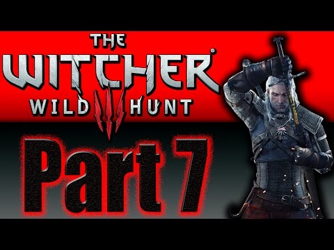 Steam Community :: Video :: Nithral Boss Fight | The Witcher 3 Wild ...