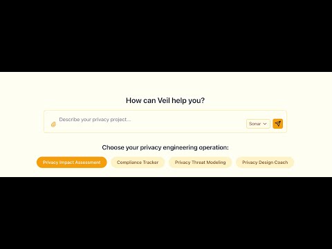Veil AI Privacy Engineer for Perplexity Hackathon