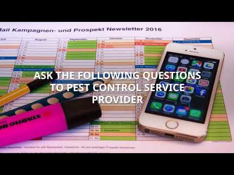 Dubai Pest Control Companies - Golden Leaf UAE