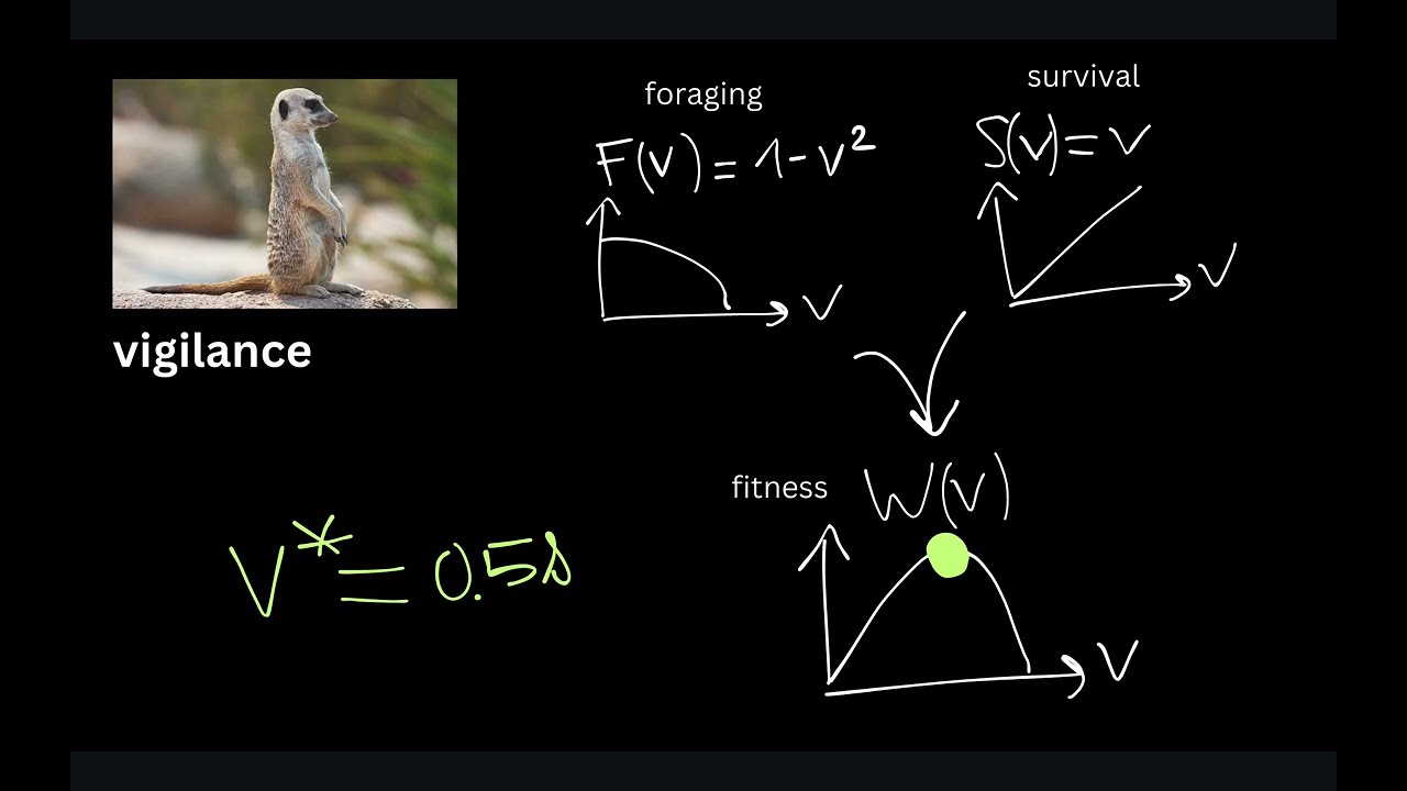 EvoBioCC Lecture on Adaptive Dynamics