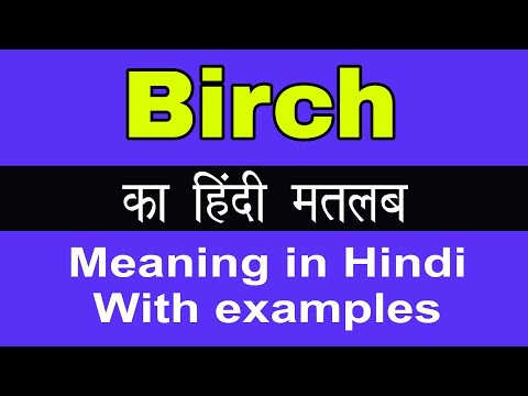 Birch Meaning in Hindi/Birch ka Matlab kya Hota hai