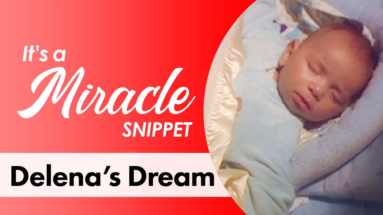 Delena's Dream - It's a Miracle
