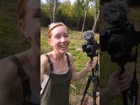 Our #homesteadjourney in the northwoods of Wisconsin