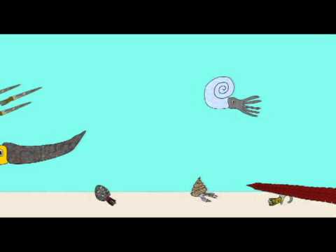 PL1: FOSSIL CEPHALOPODS