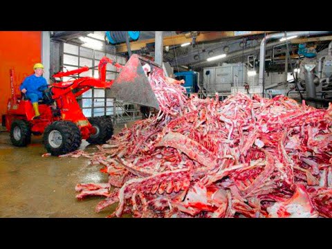 Amazing Process of How JELLY is Made | GELATIN Manufacturing Process