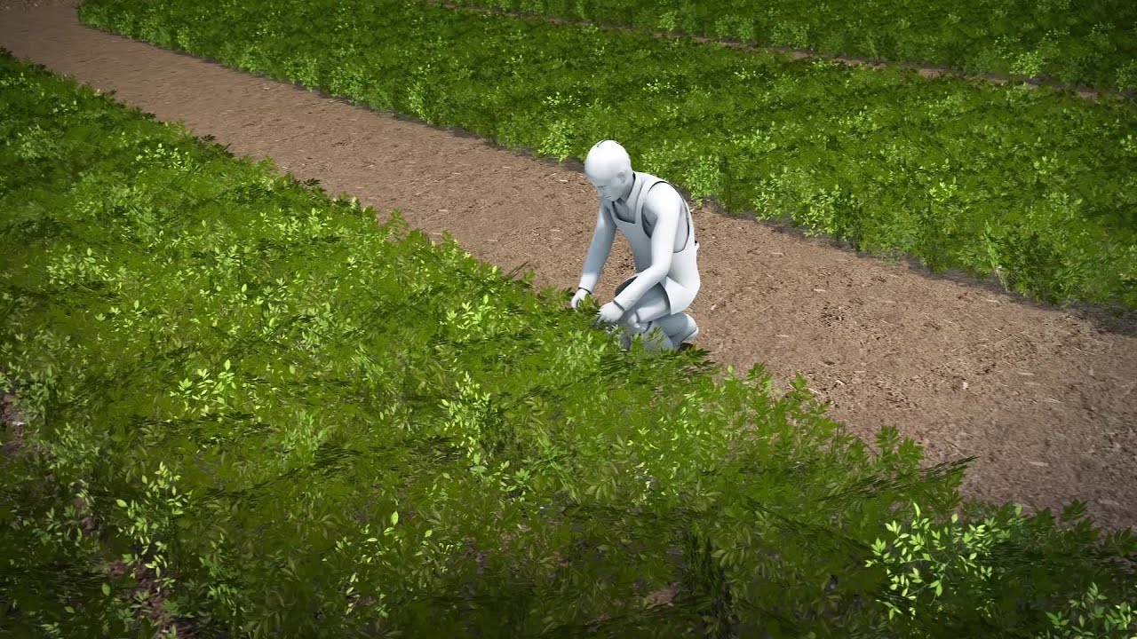 The impact of plants on global warming