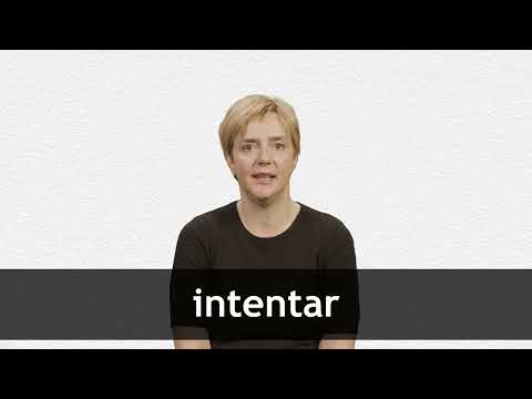 English Translation of “INTENTAR” | Collins Spanish-English Dictionary