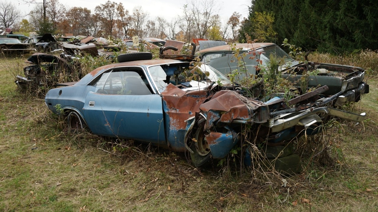 Barn Find Hunter Goes for a Junkyard Walk, Finds 1970 Dodge Challenger ...