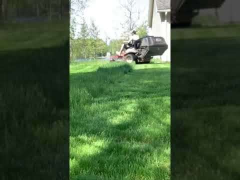 Exmark lazer z with exmarks ultravac mowing overgrown grass. #exmark #mowing #grass #ultravac #lawn