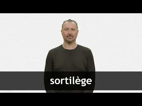 English Translation of “SORTILÈGE” | Collins French-English Dictionary