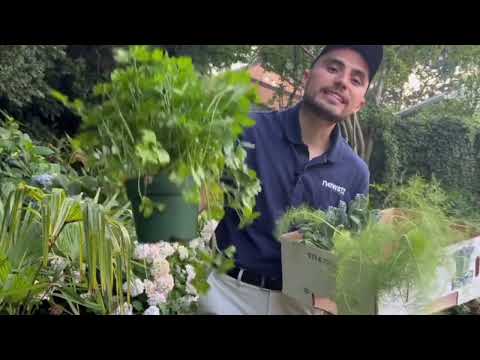 ALEX CALAMIA | I'm an AMS Certified Broadcast Meteorologist with a ...