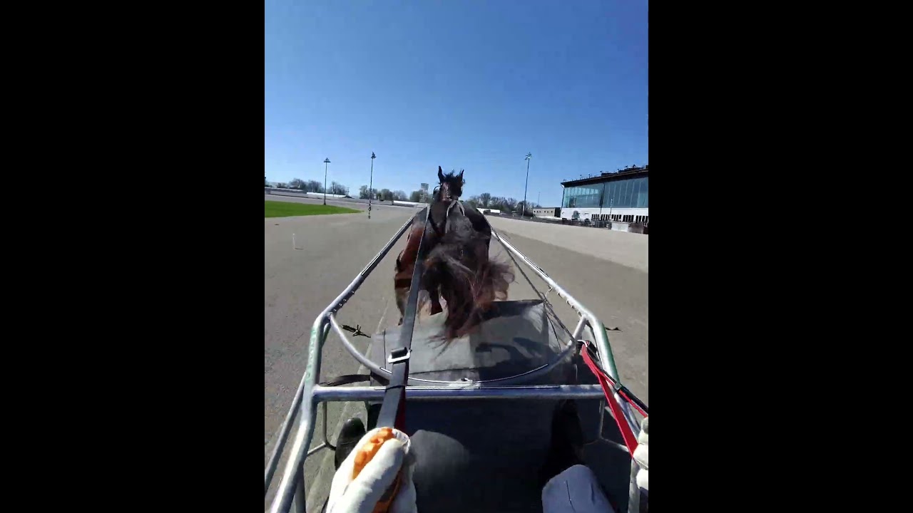 commentary--Travel Blog April 17th 2026