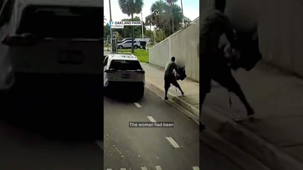 Carjacker leaves toddler on side of South Florida road