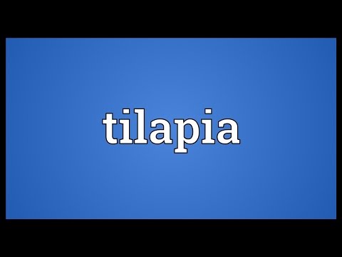 Tilapia Meaning