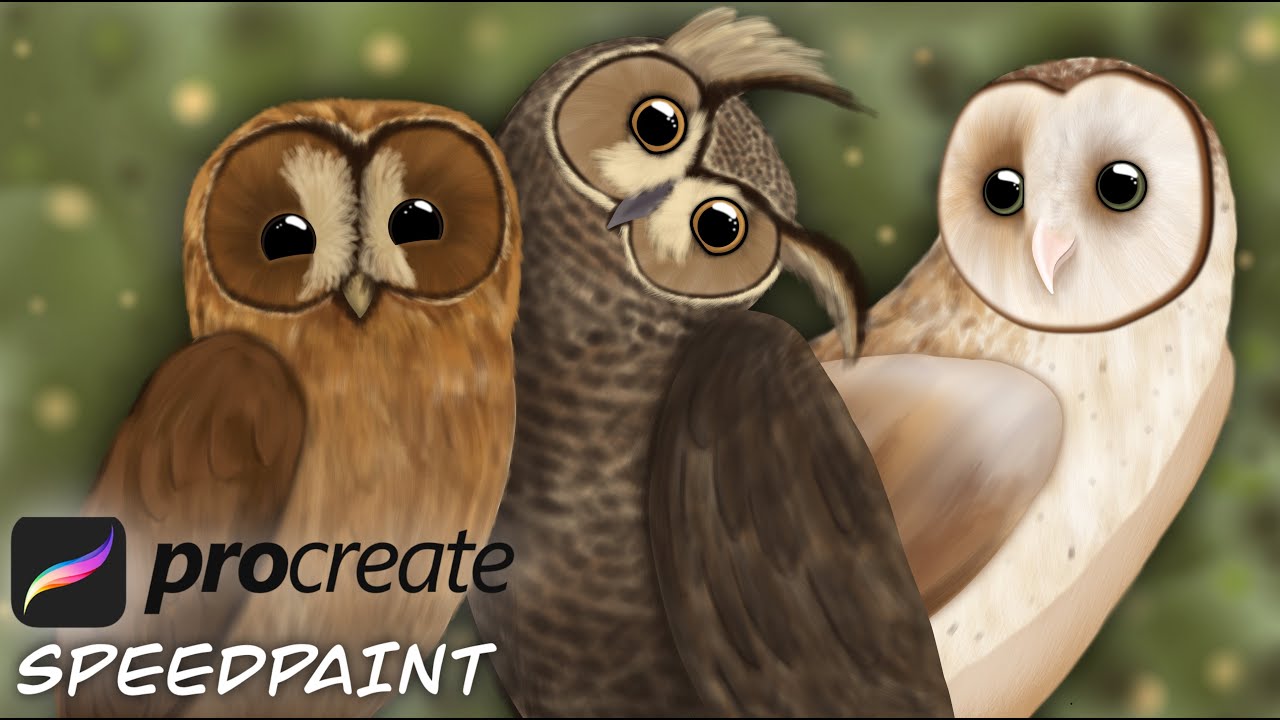 Cute Owl Trio | Procreate Speedpaint