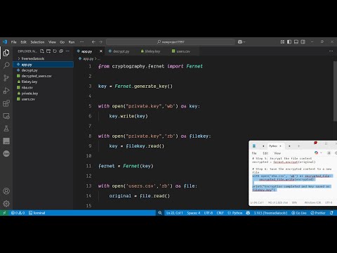 Python 3 Cryptography Module to Encrypt & Decrypt Files Using Private Key in Terminal