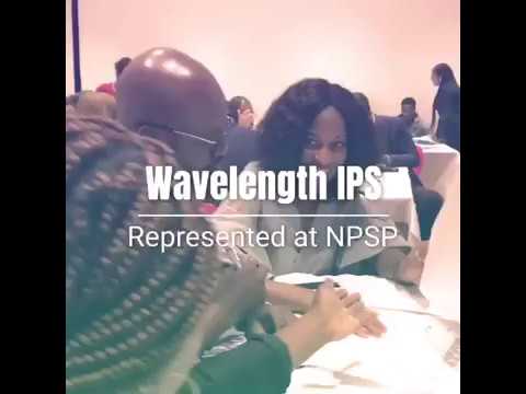 Leading Energy & Power Company Wavelength IPS @ USAID Africa NPSP Electricity Event