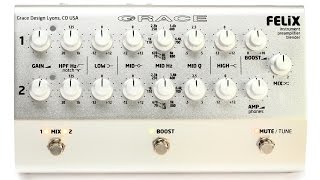 Grace Design FELiX Instrument Preamplifier / Blender - What To Know ...