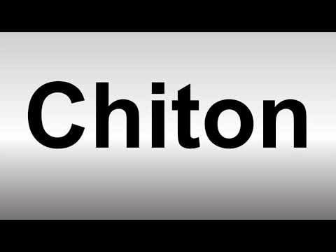 How to Pronounce Chiton