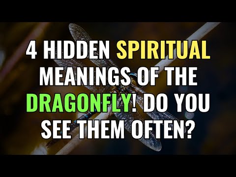 4 Hidden Spiritual Meanings of the Dragonfly! Do You See Them Often? | Awakening | Spirituality