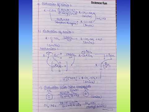 Quick notes of chapter 13 amines class 12 chemistry #ncert #shorts