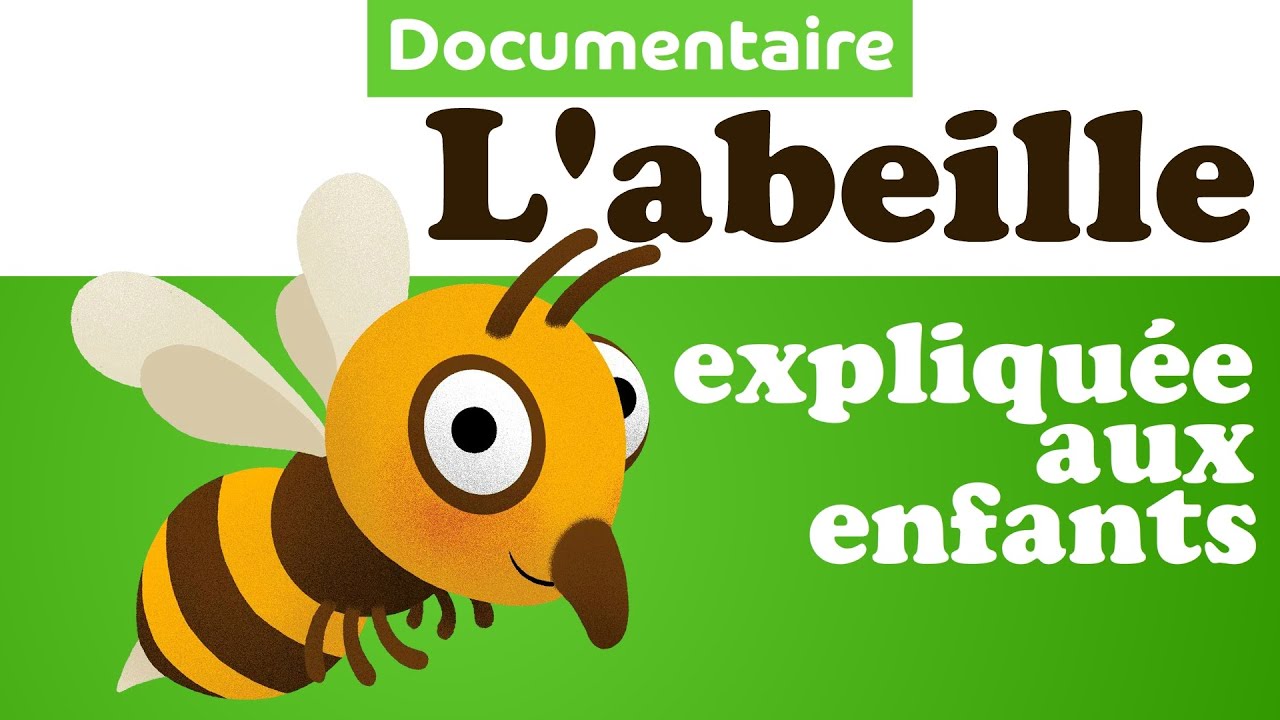 Pourquoi l'abeille fait du miel ? 🐝 Documentaire animalier pour enfant de maternelle