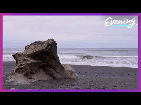 Kalaloch Beach 3 Trail rewards hikers with stunning Pacific views