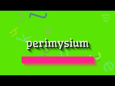 How to say "perimysium"! (High Quality Voices)