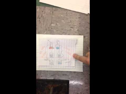 Arrhenius acids and bases