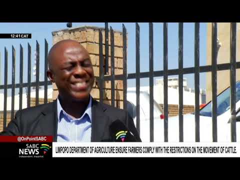 Foot and Mouth Disease | Call on Limpopo farmers to comply with movement restrictions of cattle