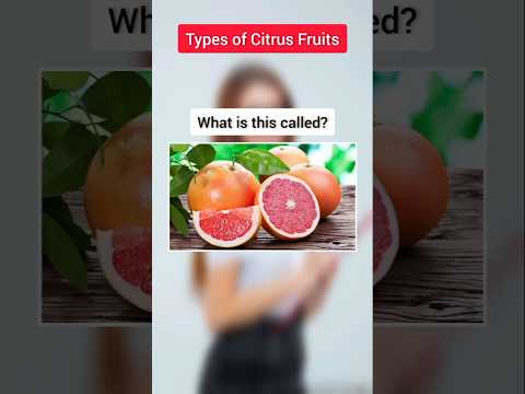 Types of Citrus Fruits Part 1 #english #vocabulary