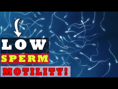 LOW SPERM MOTILITY | CAUSES AND TREATMENT (SCIENCE EXPLAINED!)