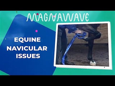 Navicular Pain in Horses | MagnaWave