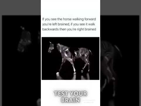 Test your BRAIN l Which side of your Brain is Dominant? l Left BRAIN or Right BRAIN l #viralshorts
