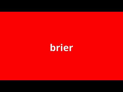 what is the meaning of brier