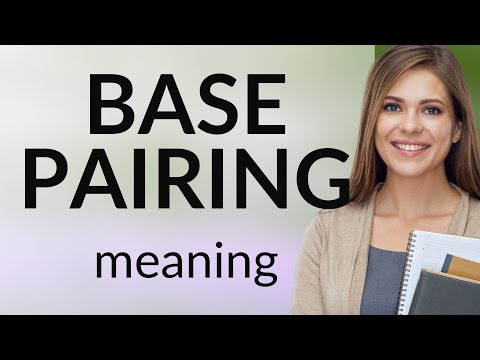 Understanding Base Pairing: A Key Concept in Biology