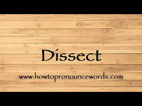How To Pronounce Dissect ? How To say Dissect New Video