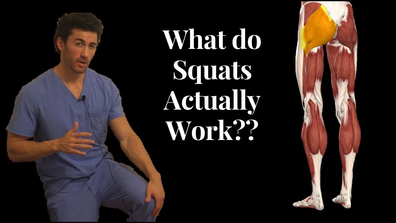 BEFORE YOU SQUAT, Understand the ANATOMY Behind it! (What Muscles Squats Actually Work)