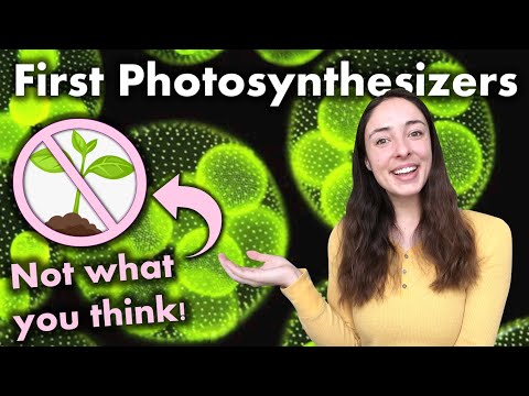 Evolution of Photosynthesis: Were Anoxygenic or Oxygenic Phototrophs First? | GEO GIRL