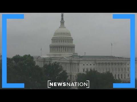Senate leaders propose stopgap bill to avoid government shutdown | The Hill