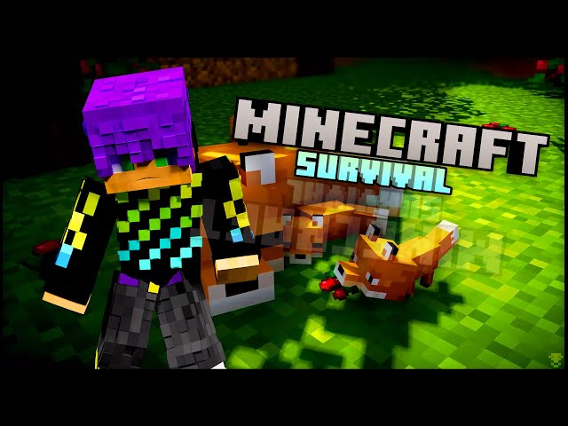 SURVIVAL MAP 1.17.1 Minecraft Map