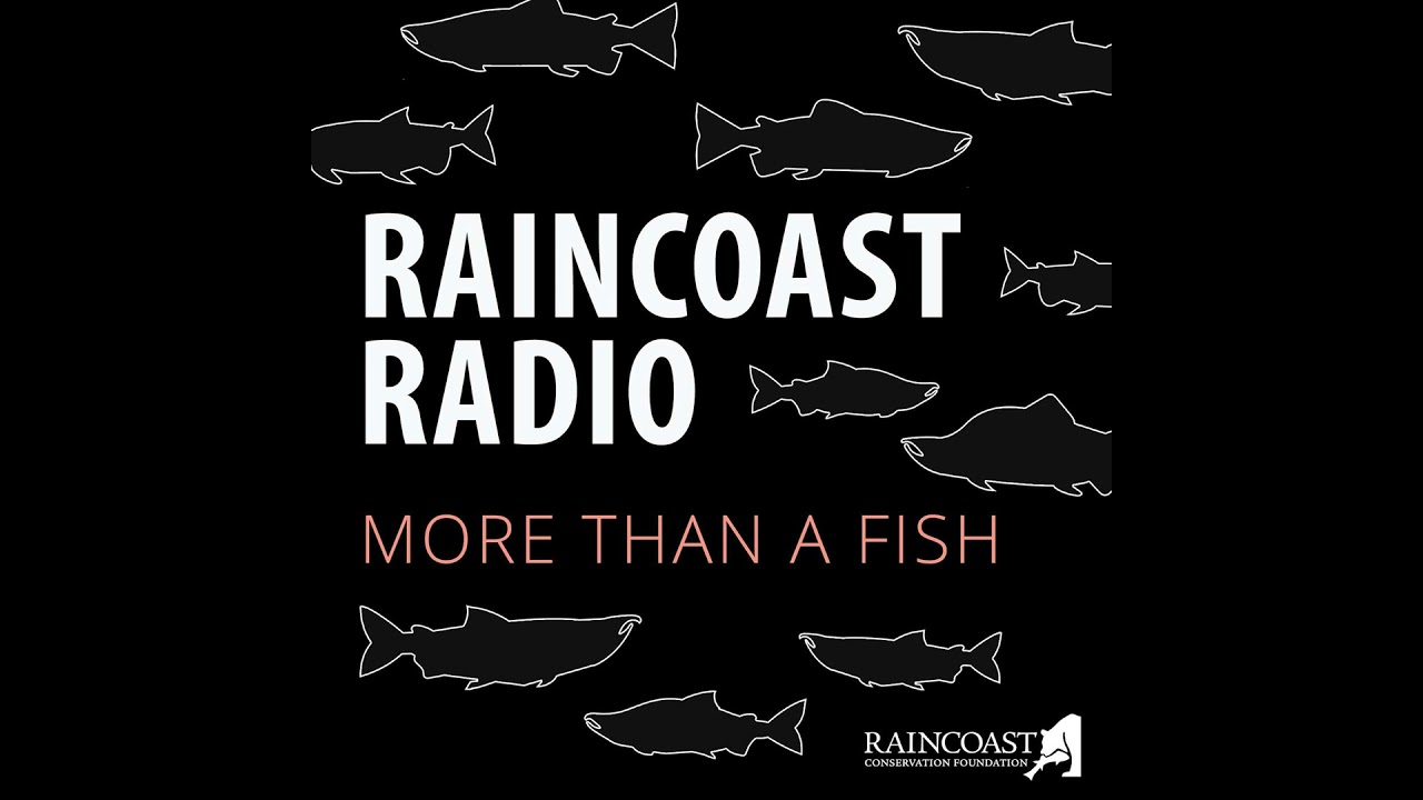 The journey upstream as a student with Arielle Koenig, Pacific Salmon Ecology and Conservation Lab