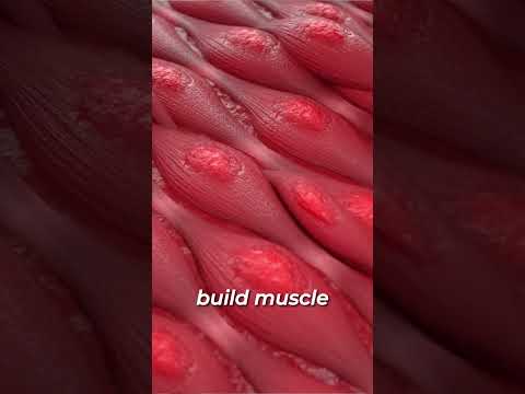 What Is EMSCULPT NEO? #bodycontouring #core #reducebellyfat