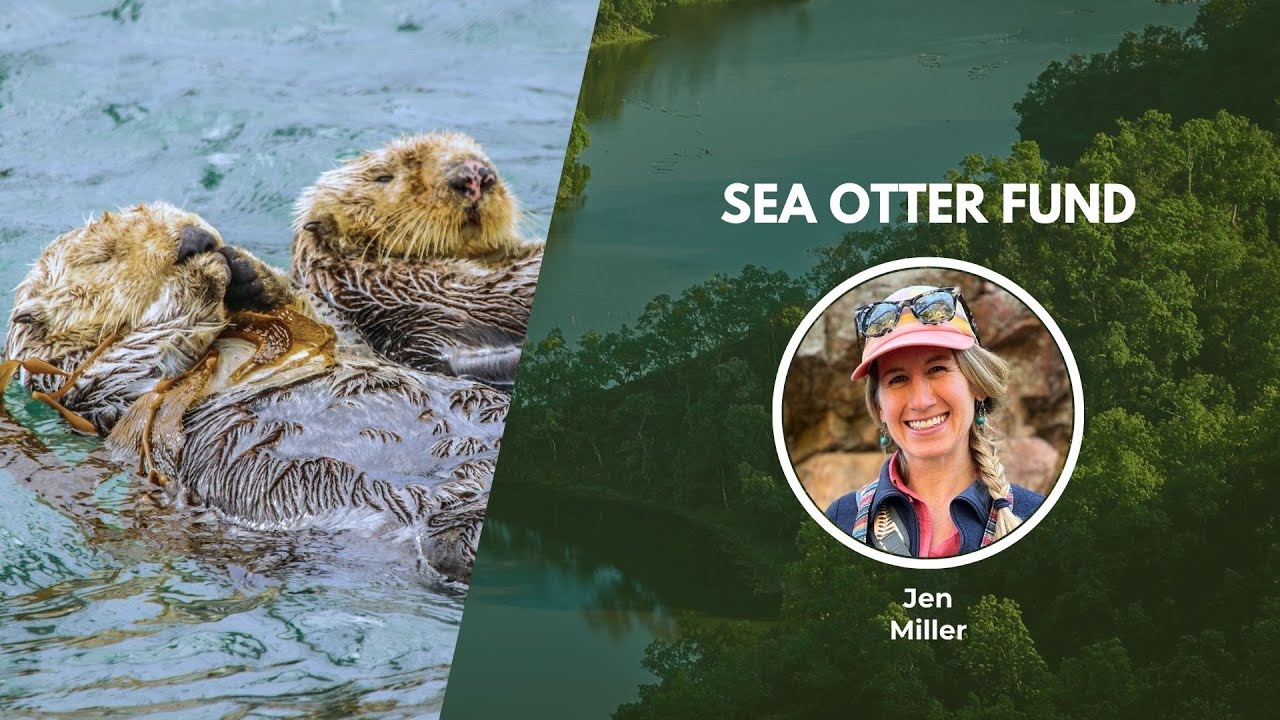 Saving Sea Otters | Wildlife Conservation Expo