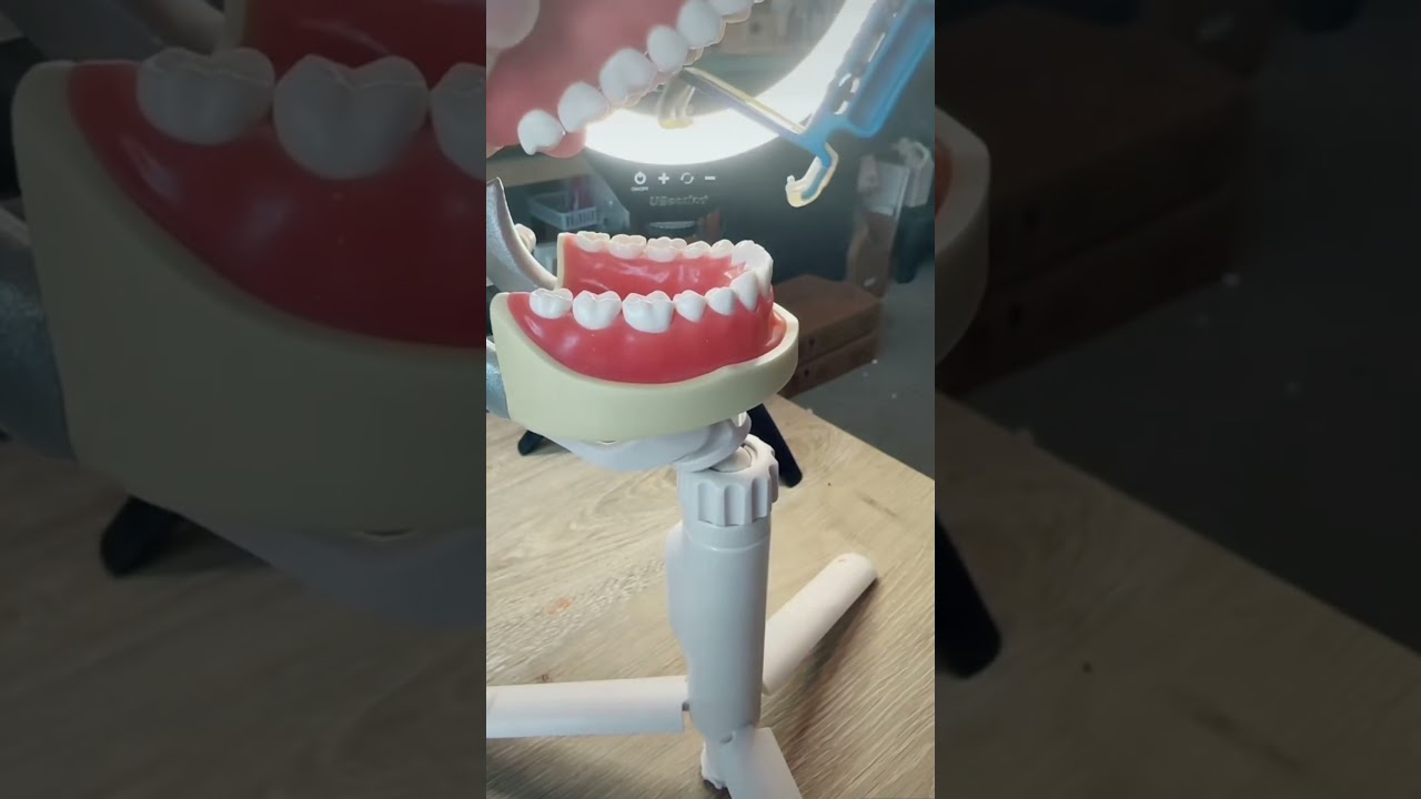 How to take an Anterior X-Ray. #dental #howto #shorts