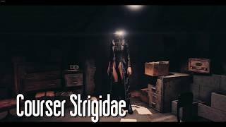 FO4 Courser Strigidae Armor at Fallout 4 Nexus - Mods and community